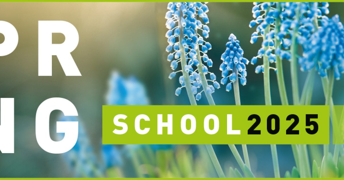 AI Springschool 2025